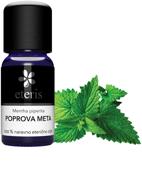 Poprova meta eterično olje - Zdravilna moč zelišč - Favn